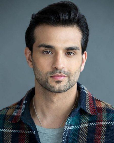 Undercover Holiday Hallmark Movie 2022-rd - mrDustBin