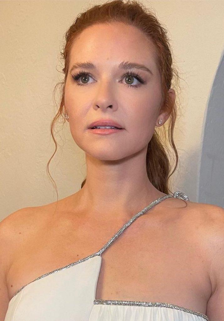 Guiding Emily Hallmark Movie, Release Date, Cast, Story 2023-rd - mrDustBin